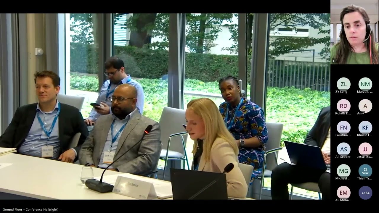 Long-Term Energy Scenarios Network Finance Webinar Series Session 2 Roundtable