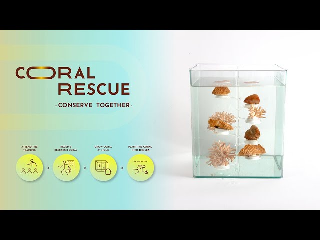Coral Rescue – Conserve Together - Possible Future Case#UTokyo-IIS