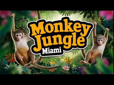 Monkey Jungle Full Tour - Miami, Florida