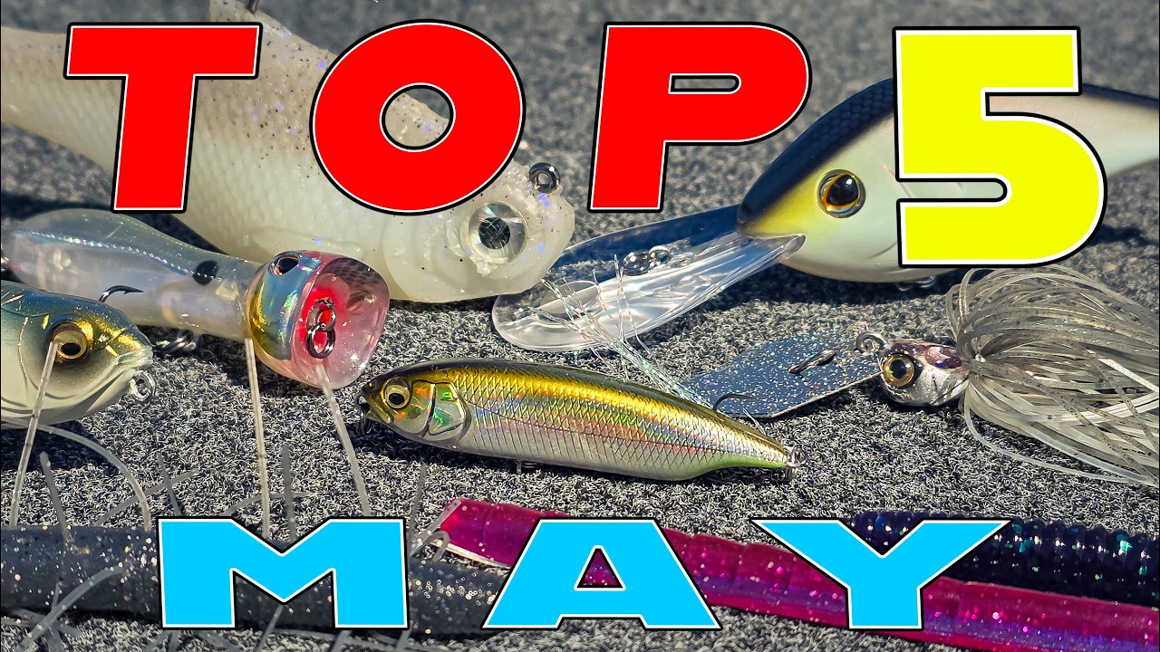 Top 5 Baits For May Bass fishing!