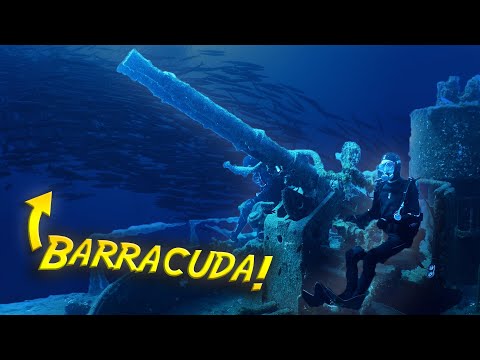Massive Shipwreck surrounded by BARRACUDA in Portugal!