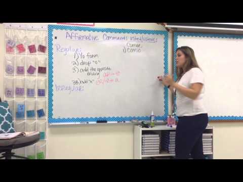 Affirmative Commands in the Usted/Ustedes form