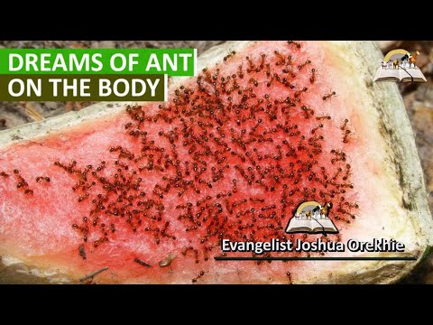 Dreams of Ants on the Body - Biblical Meaning of Ants in Dreams
