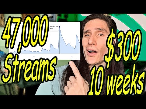 47,000 Spotify Streams in 10 weeks | 300 Dollar Budget | FB Ads