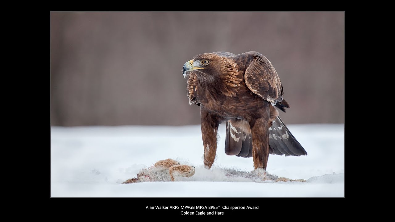 BG BPE 2023 All Awarded Images