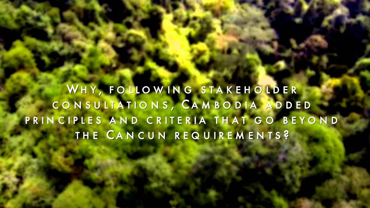 Safeguards and SIS Lessons and Experiences from Asia-Pacific Countries