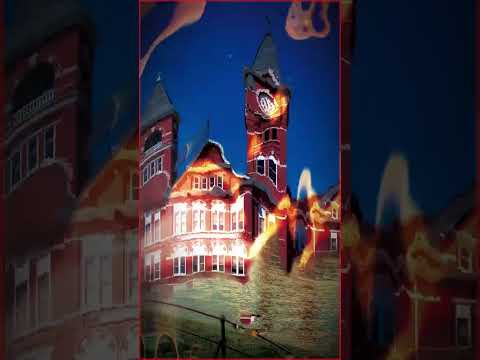 The TRUTH About University Rankings | global education