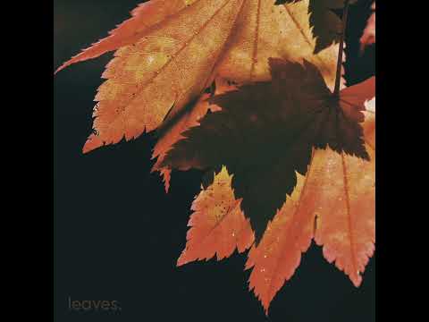 Kristin Cain - Leaves (unknown song from "Mommy Would Never Hurt You")