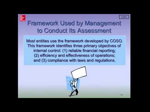 Audit of internal controls over financial reporting