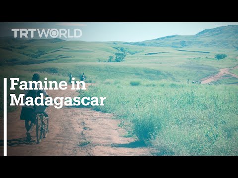 Madagascar on the brink of world's first climate change famine