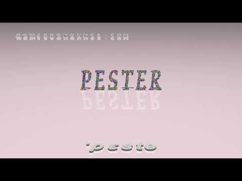 pester - pronunciation + Examples in sentences and phrases