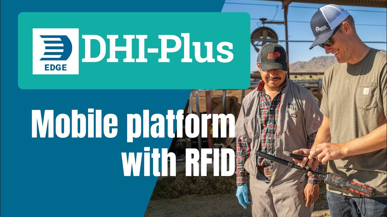 Best Dairy Herd Management Software | DHI-Plus Edge with RFID Cow Tag Scanning