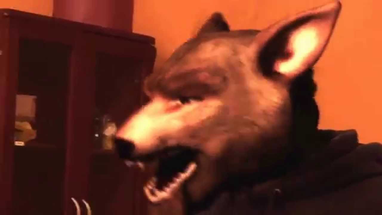 CGI 3D Animation: Wolf Transformation