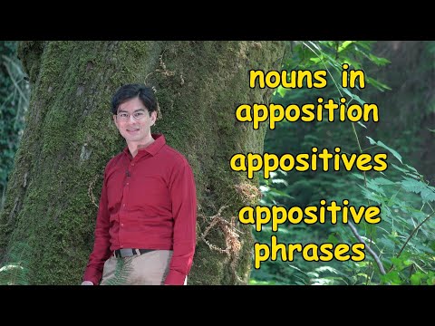 Appositives or Nouns in Apposition | Meaning, Use, and a Memory Trick | Ask Cozy Grammar!