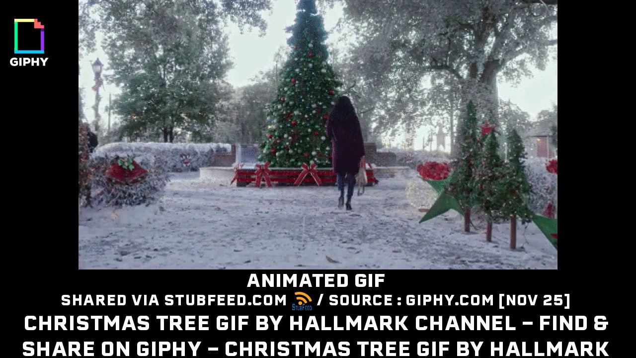Christmas Tree GIF by Hallmark Channel  F...