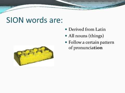 Lesson 2 SION words