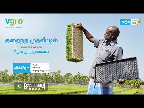 Paddy Tray - Paddy Seedling Tray Latest Price, Manufacturers & Suppliers