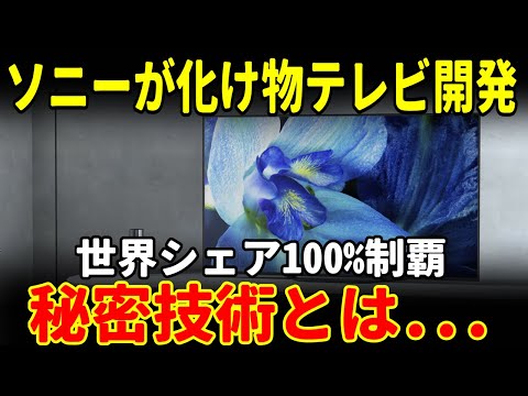 ソニーのテレビが世界市場を完全制覇⁉1000万台爆売れの秘密技術とは・・・