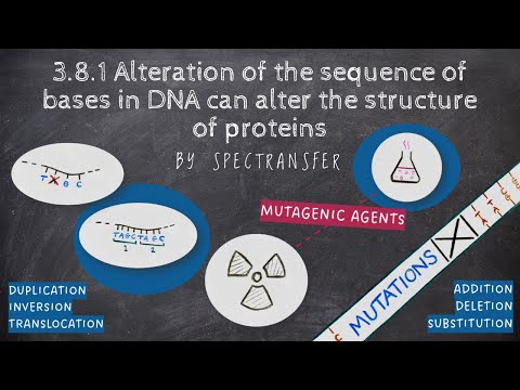 EASY REVISION AQA A-Level Biology 3.8.1 Alteration of the sequence of bases in DNA