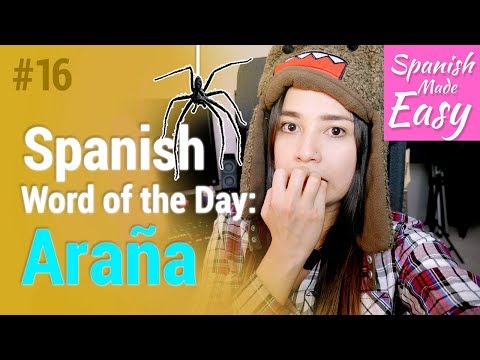 Araña | Spanish Word of the Day #16 [Spanish Lessons]