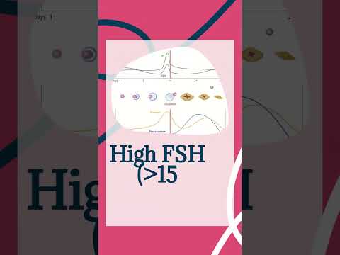 The FSH test explained