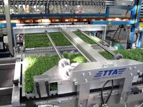 TTA PackPlanter HC Transplanter