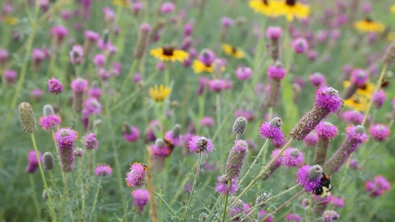 This Week in Agribusiness, April 4, 2026