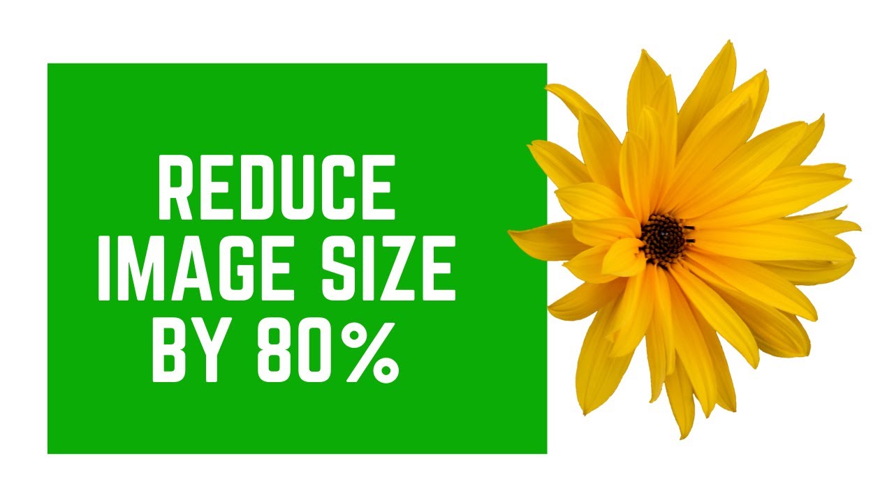 How to Reduce Image Size Without Losing Quality Using ImageResizer