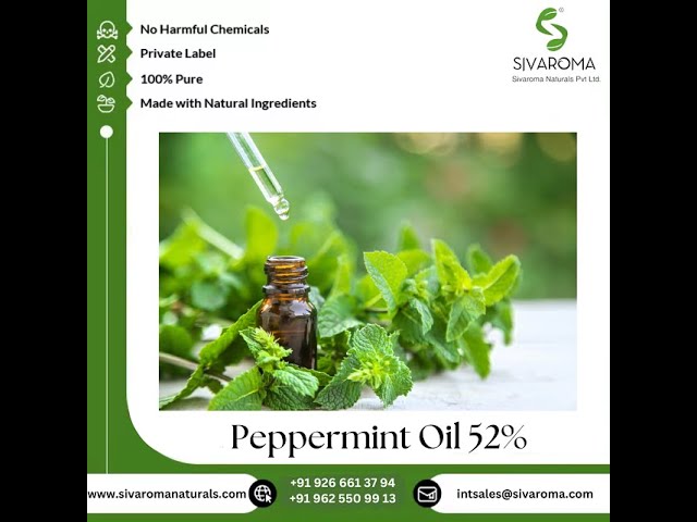 Mint Products - Menthol Bold Crystals Manufacturer from Noida