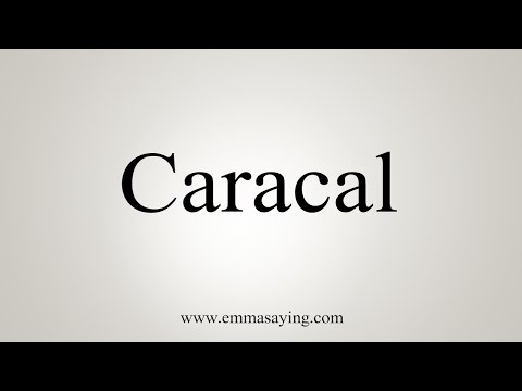 How To Say Caracal
