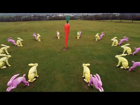 DJI Mini 2 - SchaPa Hasen - Ostfildern