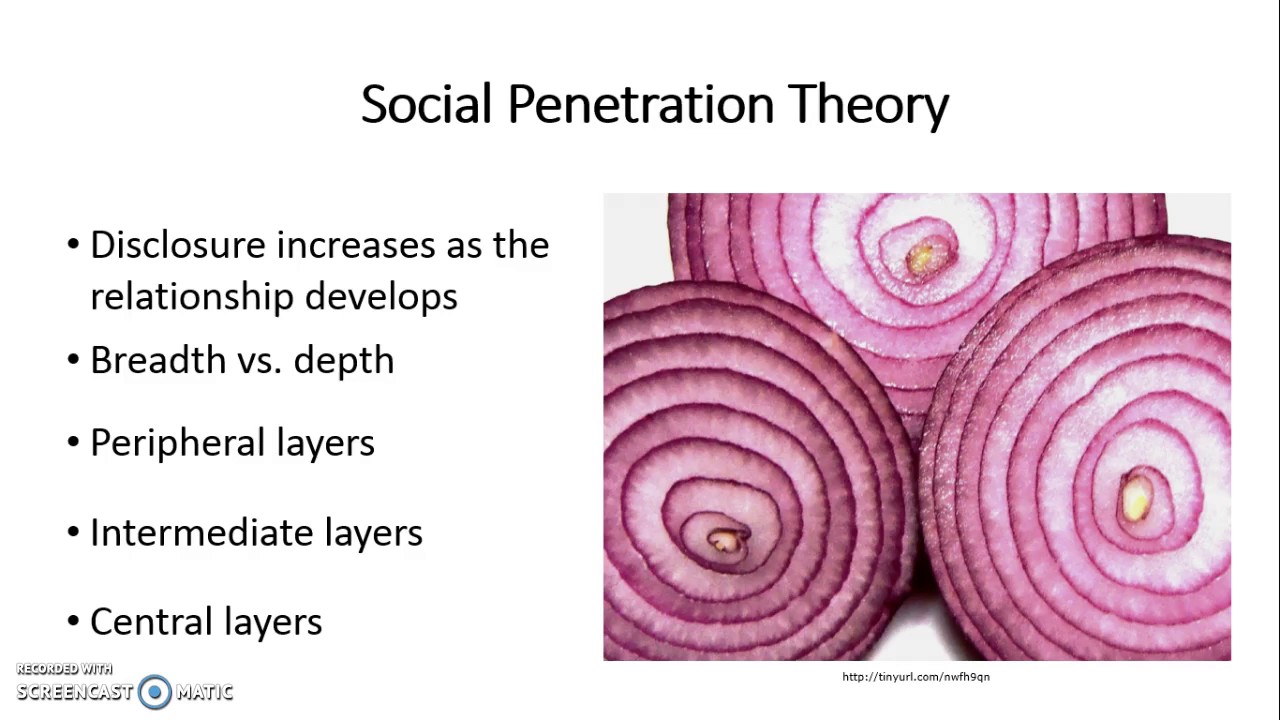 Interpersonal Communication Theories