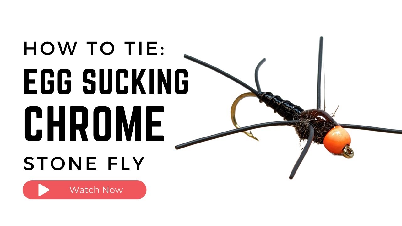 Egg Sucking CHROME STONE Fly Tying Tutorial