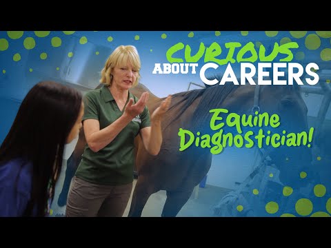 Equine Diagnostician | Dr. Stephanie Valberg | Curious About Careers