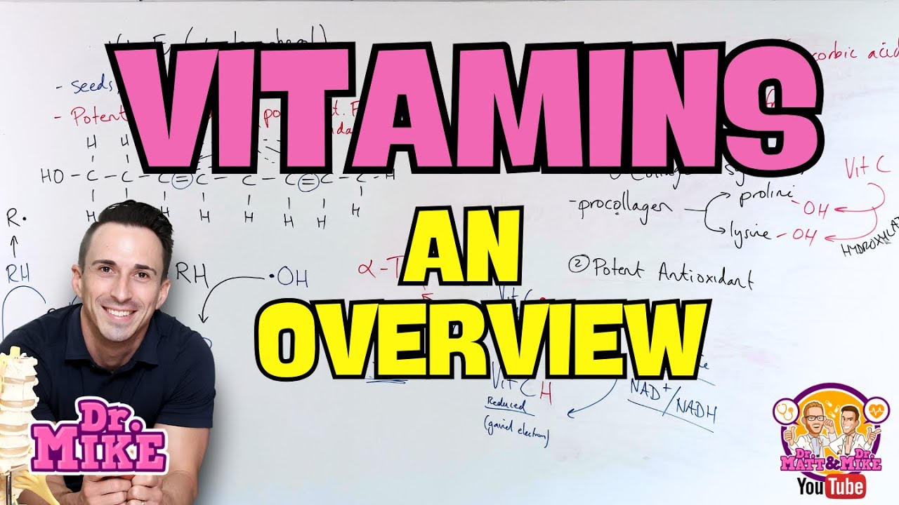 Vitamins | An Overview