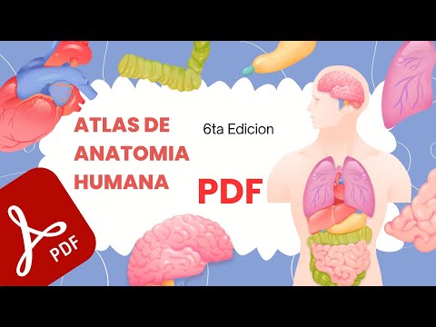 🧠 Netter Atlas De Anatomia - 600 Pags. COMPLETO [PDF] - Tutorial💪🦵🦷👁️