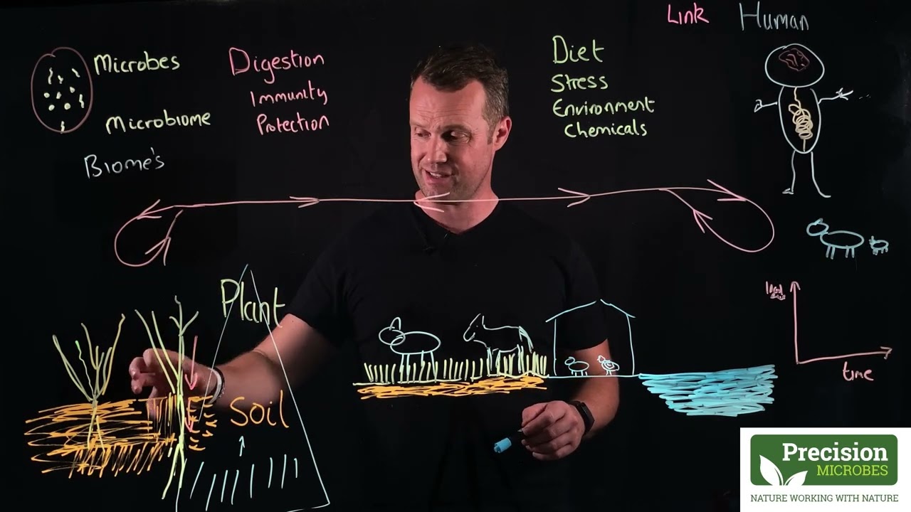 World microbiome day some thoughts on microbes in our ecosystems