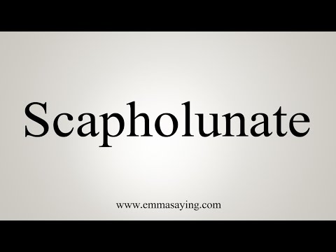 How To Say Scapholunate