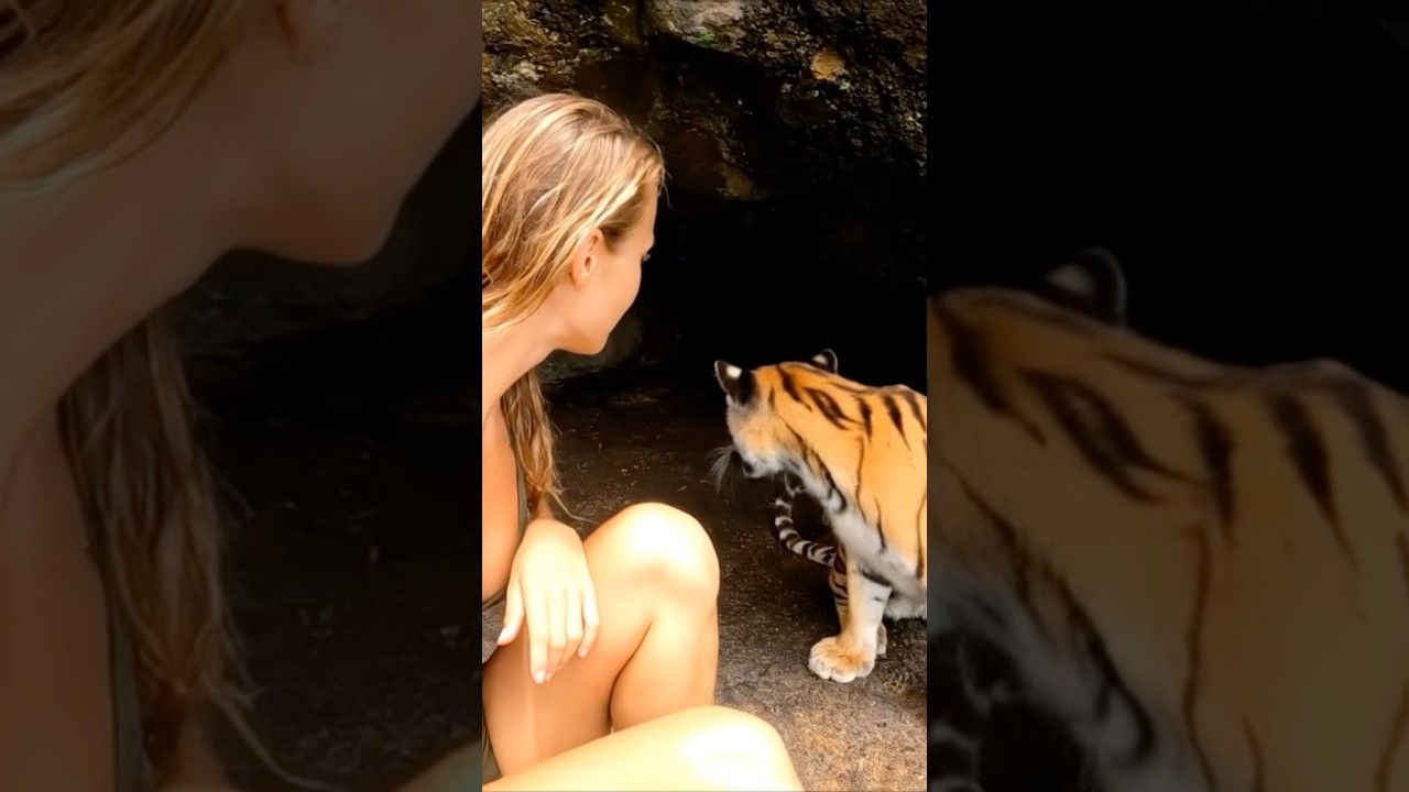 Possibly a pirate’s treasure #adventure #travel #entertainment #ai