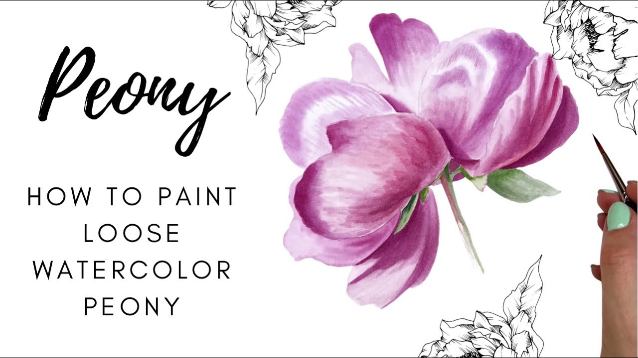 How To Paint Loose Watercolor Peony 🌸 Loose Watercolor Painting 🌸 Peony Art
