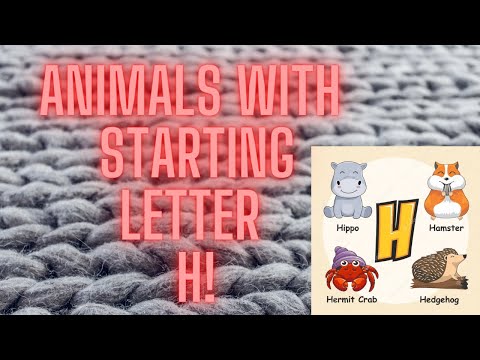 ANIMALS WITH STARTING LETTER H!
