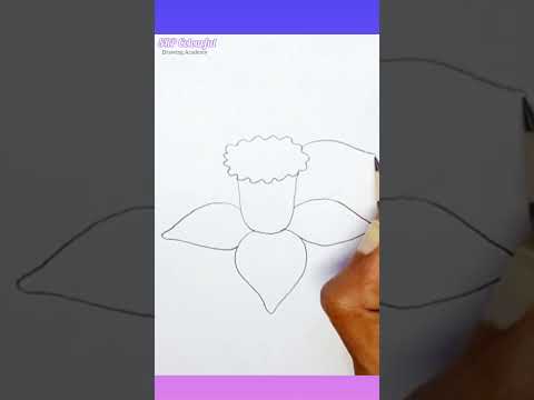 Daffodil flower drawing || #shorts #youtubeshorts #flower