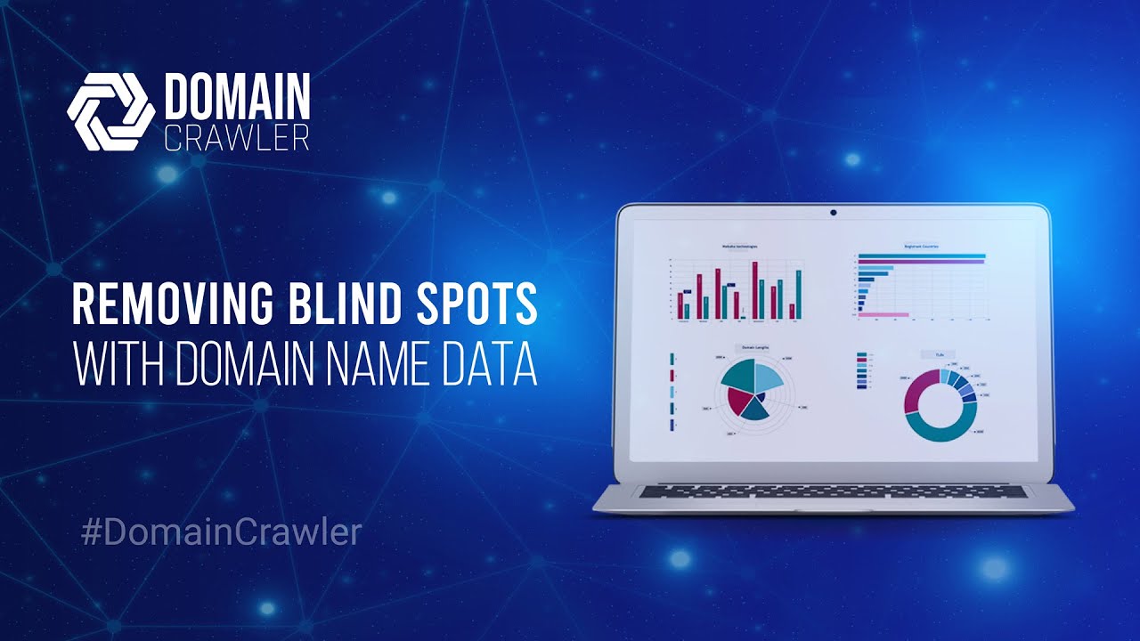 Removing blind spots with domain name data