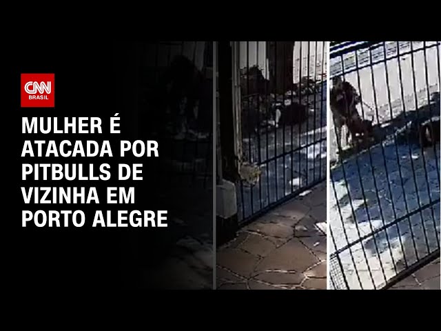 Atacando Imagens De Pitbull Deadly Pit Bull Attack