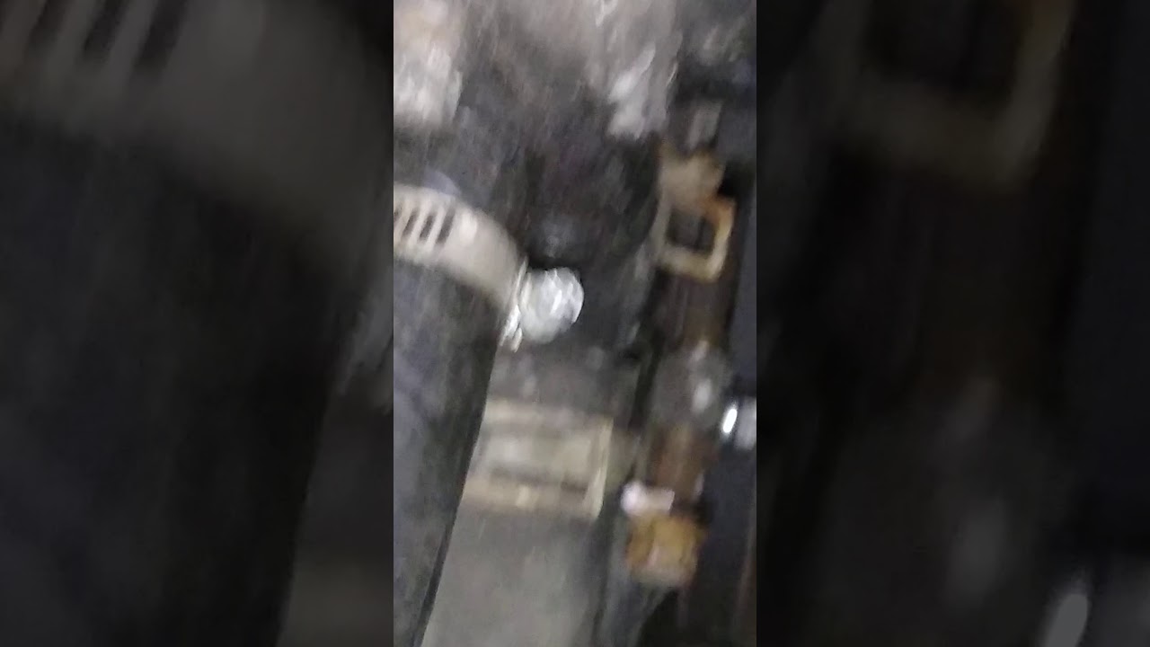 2000 Nissan frontier serpentine belt squealing problem