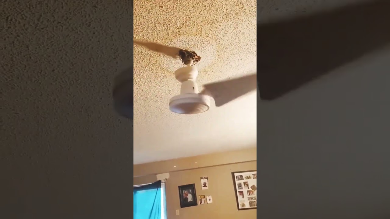 1 Bladed ceiling fan falls😂  #ceilingfan #crazy #shorts #electricity #stupidvideos