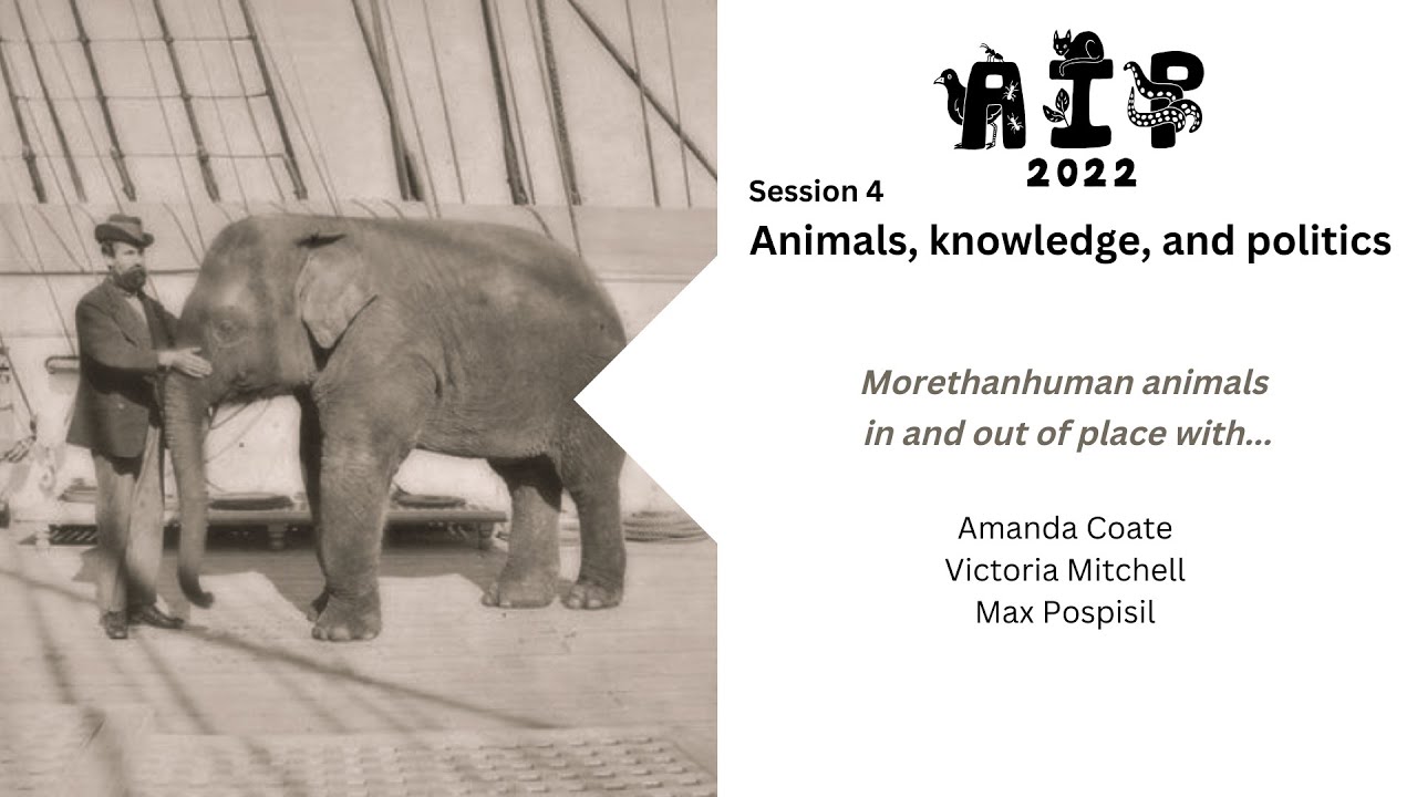 AIP2022 Session 4: Animals, knowledge, and politics