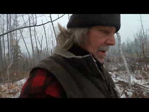 Christmas Eve Day, Tamarack Harvest