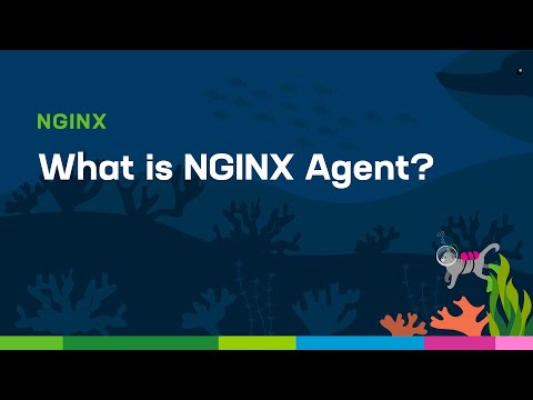 What is NGINX Agent?