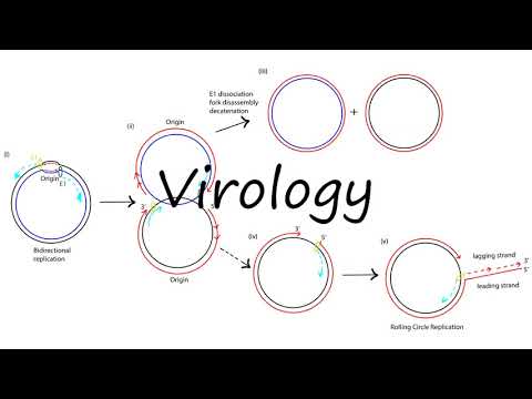 How to Pronounce Virology?